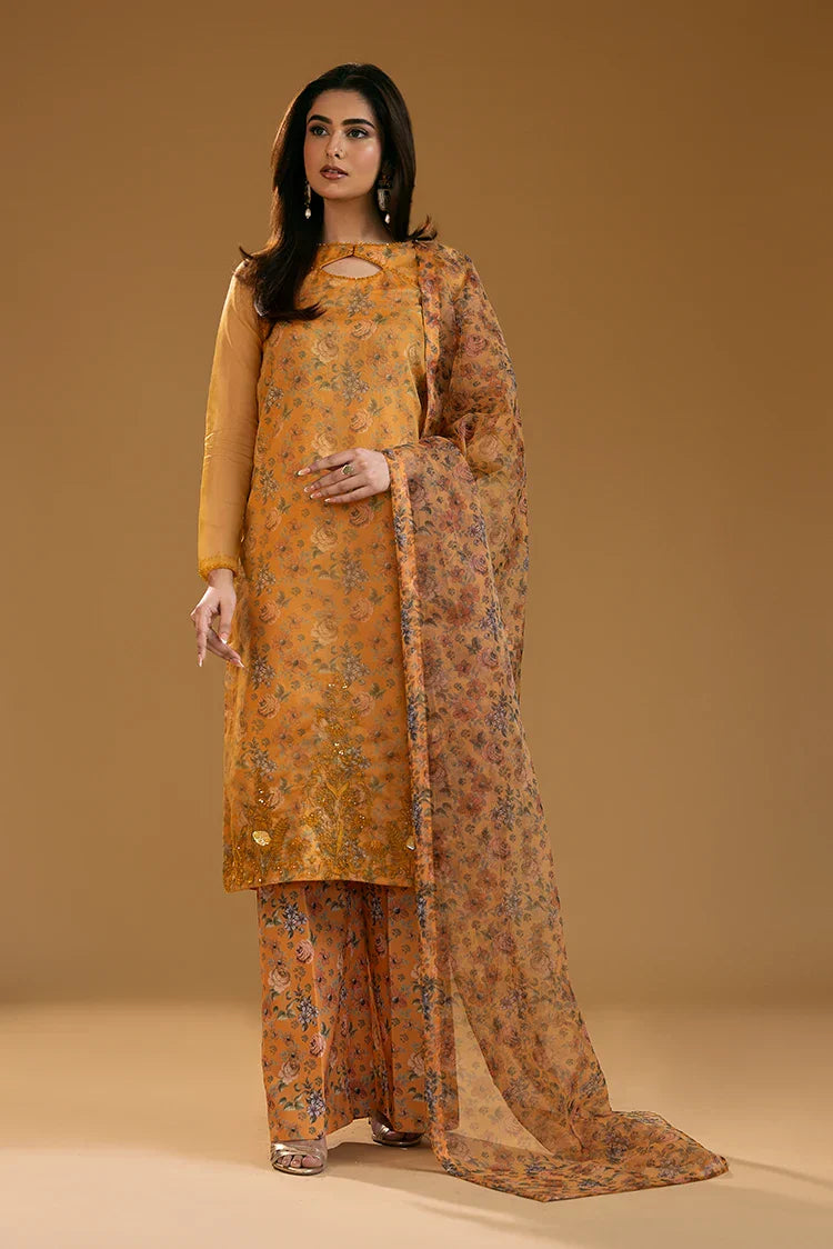Amber Imran - Noore Eid Edition 2025 - Raaz-e-Hayat – Raja Sahib Intl